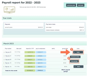 Understanding the Employer Pay Summary